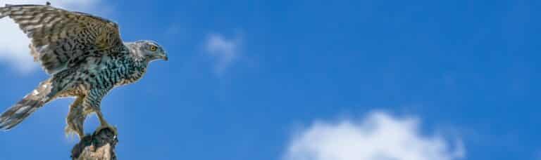 How to Scale MySQL for Maximum Performance | Data-Sleek